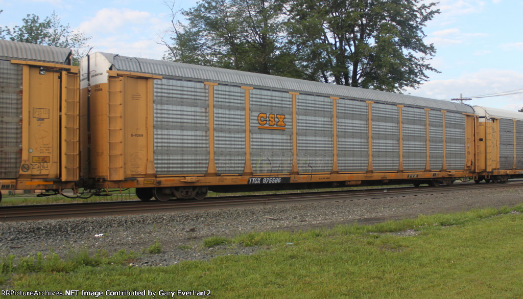 TTGX 975586 - TTX Co